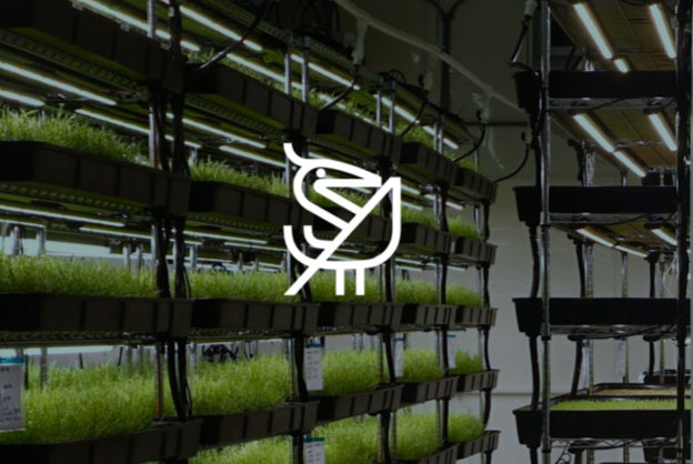 Stories of Uncontained Innovation: Heron Farms - AmplifiedAg®