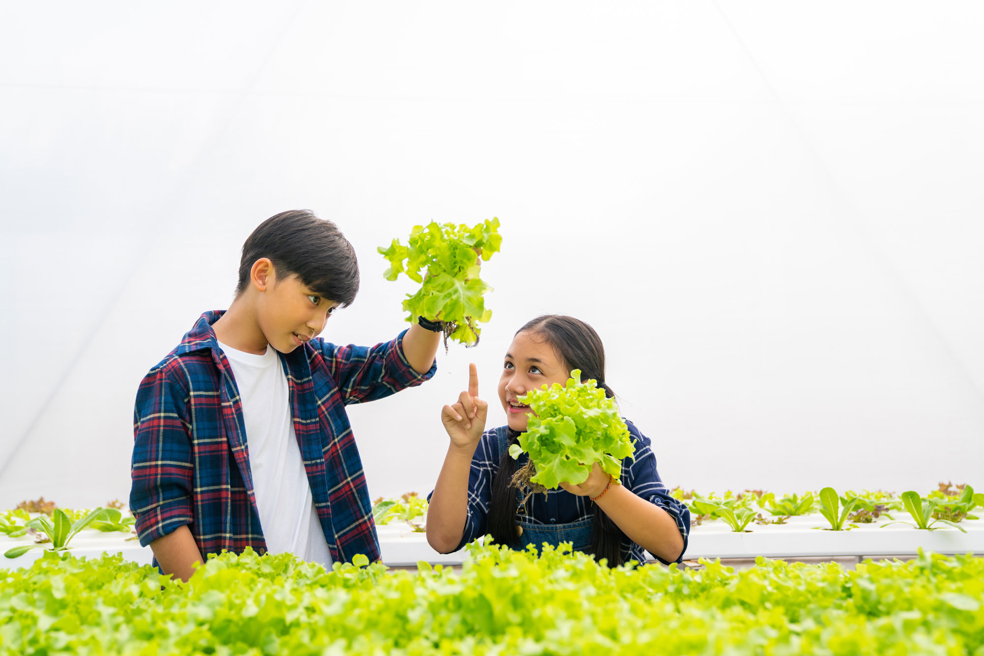 Cultivating Futures: The Power of Container Farms on Campus - AmplifiedAg®
